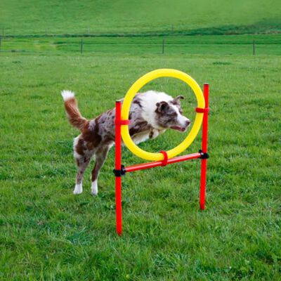 Kerbl Dog Agility Training Set Red 80758 | vidaXL.co.uk