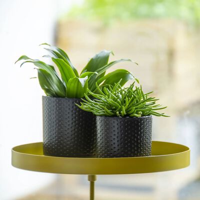 Esschert Design Plant Tray with Clamp Round Gold L | vidaXL.co.uk