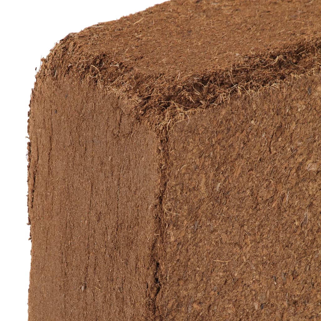 vidaXL Coconut Coir Blocks 2 pcs 5 kg Each 10 kg Total | vidaXL.co.uk