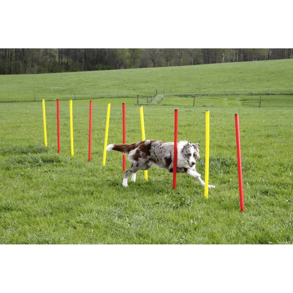 Kerbl Dog Agility Training Set Red 80758 | vidaXL.co.uk